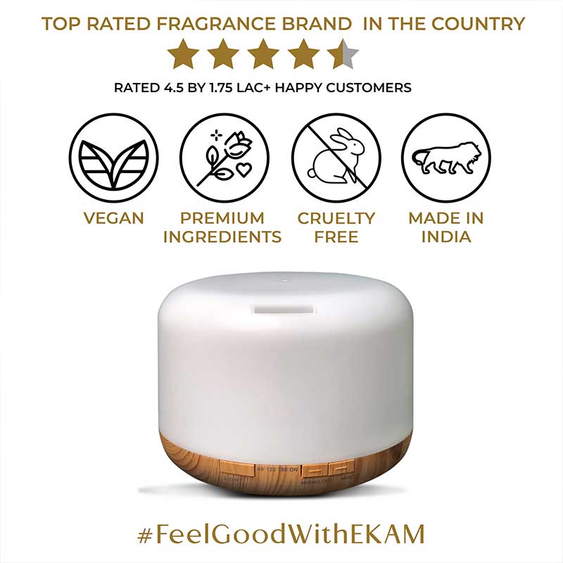 Aroma Diffuser (YX-168) – EKAM