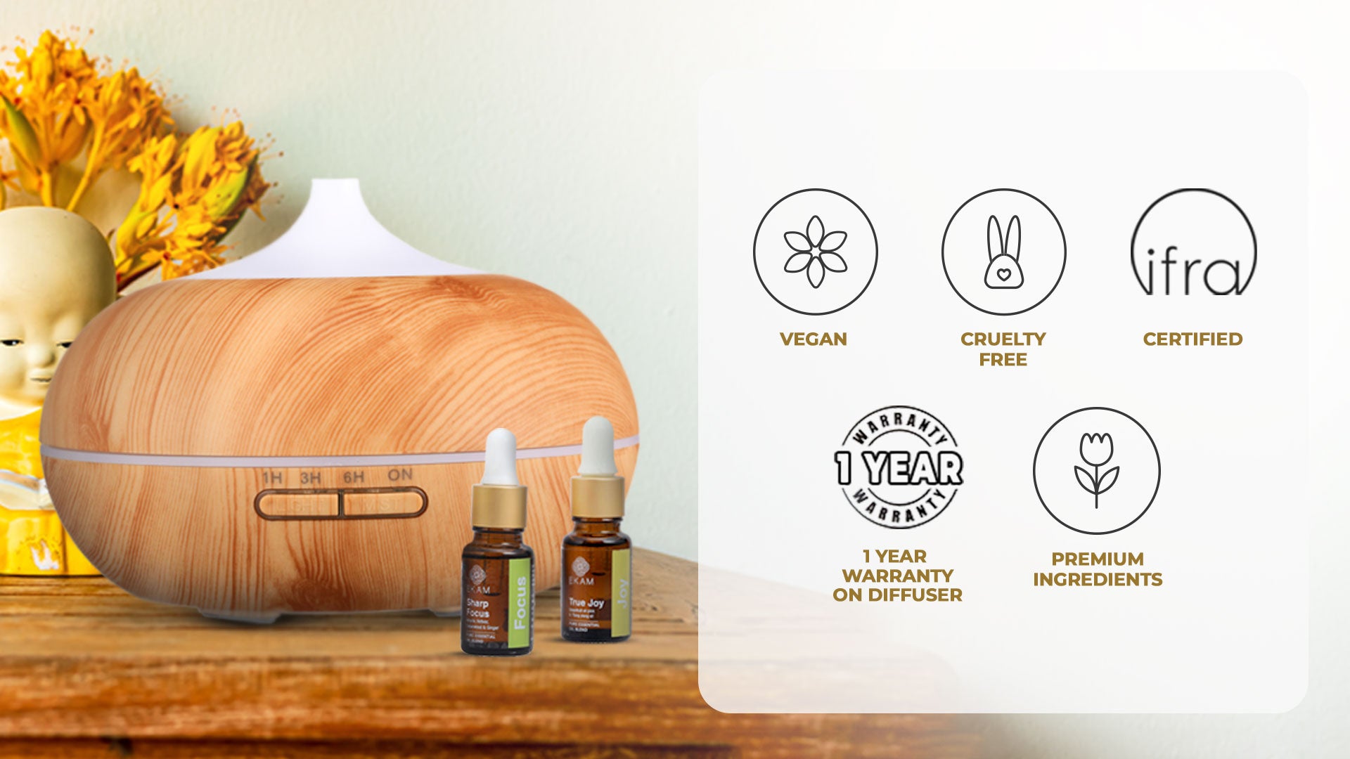 Buy aromatherapy diffuser set Online at Low Price | EKAM